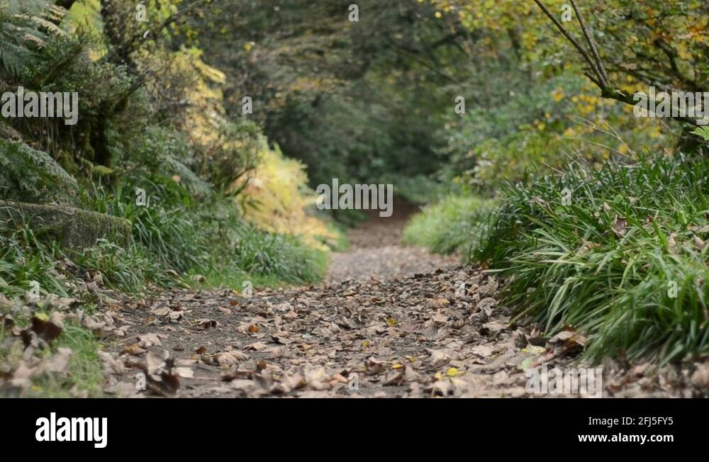 Rest stops Stock Videos & Footage - HD and 4K Video Clips - Alamy