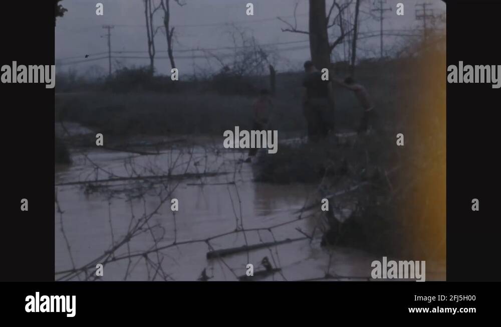 Waterlogged tree Stock Videos & Footage - HD and 4K Video Clips - Alamy