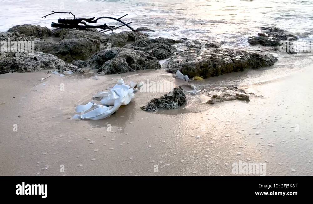 Waste on the beaches Stock Videos & Footage - HD and 4K Video Clips - Alamy