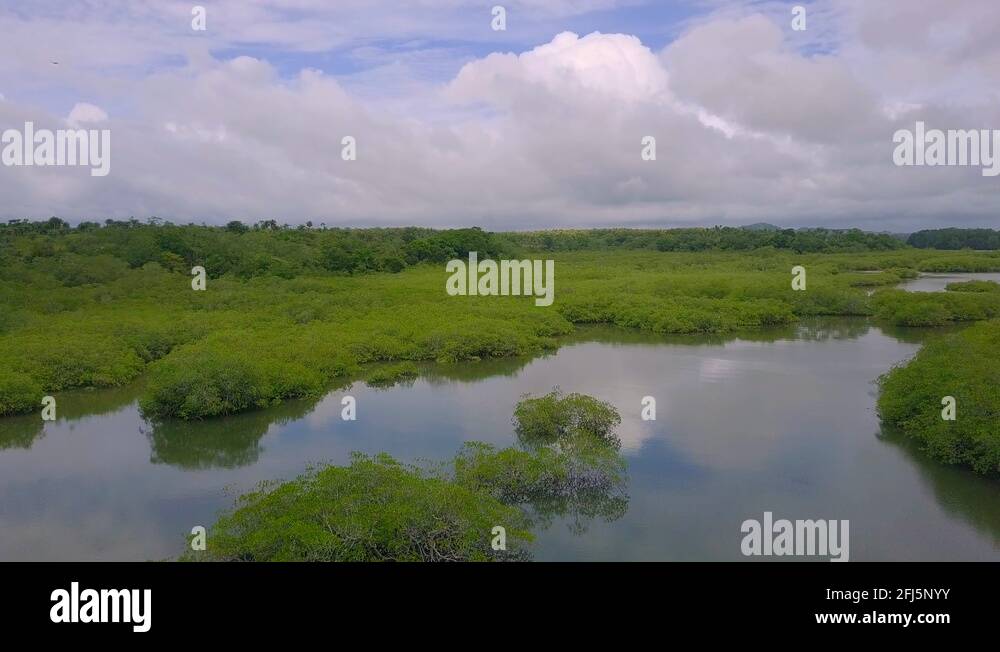 Panama nature scenery Stock Videos & Footage - HD and 4K Video Clips ...