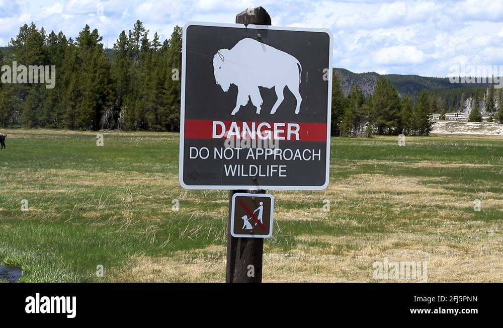 Buffalo warning sign Stock Videos & Footage - HD and 4K Video Clips - Alamy