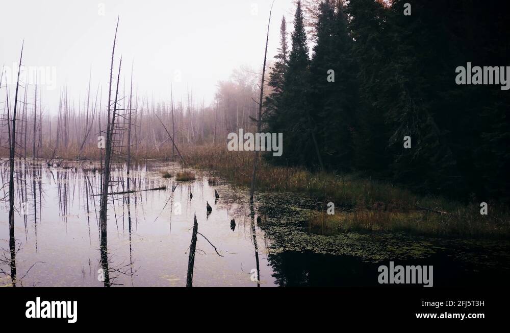 Cool seasons Stock Videos & Footage - HD and 4K Video Clips - Alamy