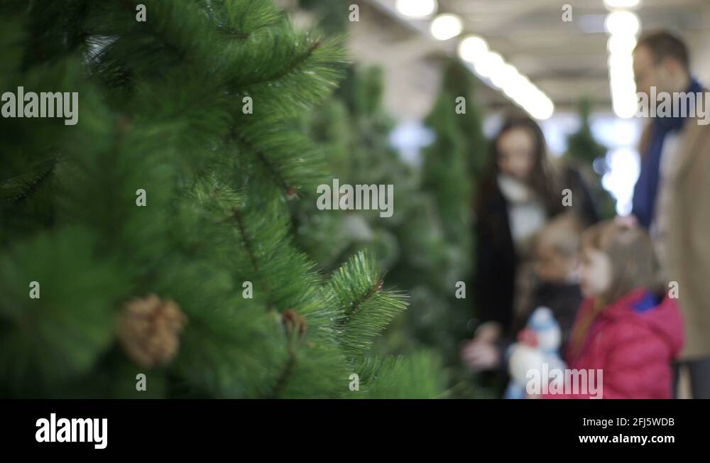 Poor christmas tree Stock Videos & Footage - HD and 4K Video Clips - Alamy