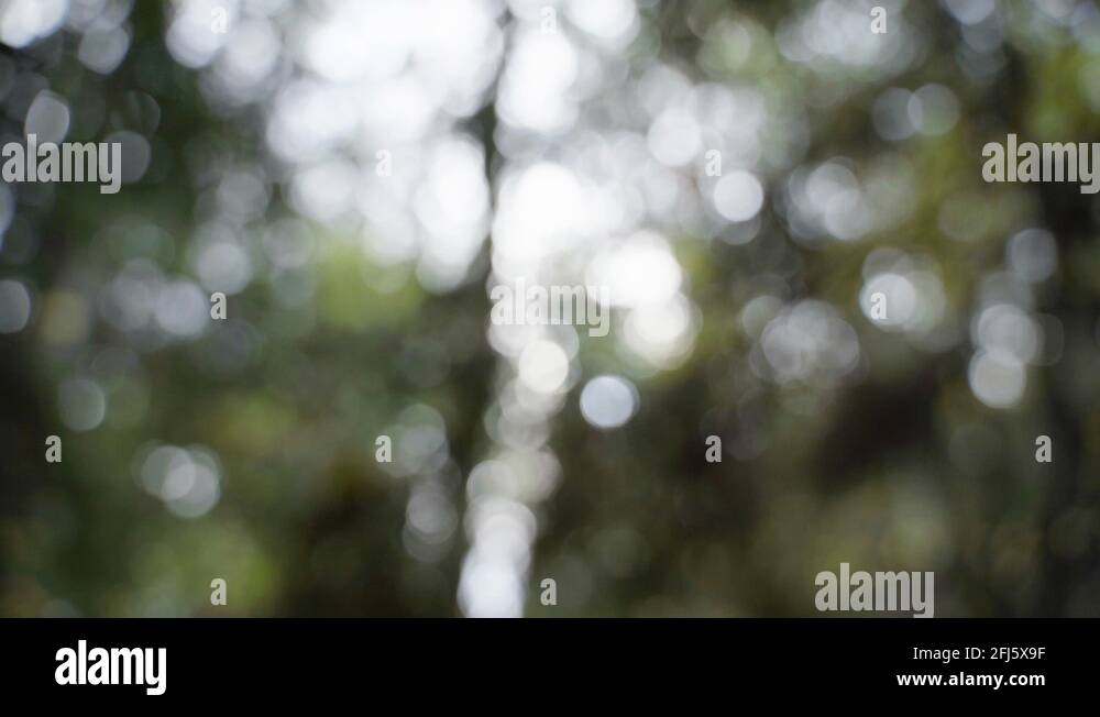 Creative version Stock Videos & Footage - HD and 4K Video Clips - Alamy