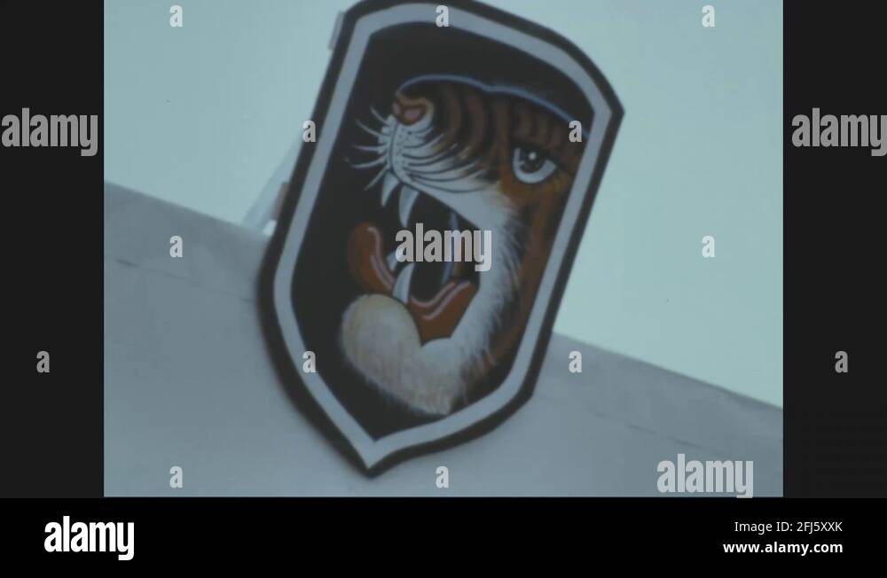 Tiger division Stock Videos & Footage - HD and 4K Video Clips - Alamy