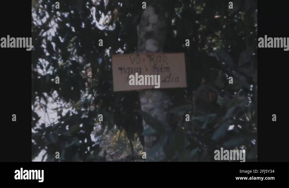 Cache tree Stock Videos & Footage - HD and 4K Video Clips - Alamy