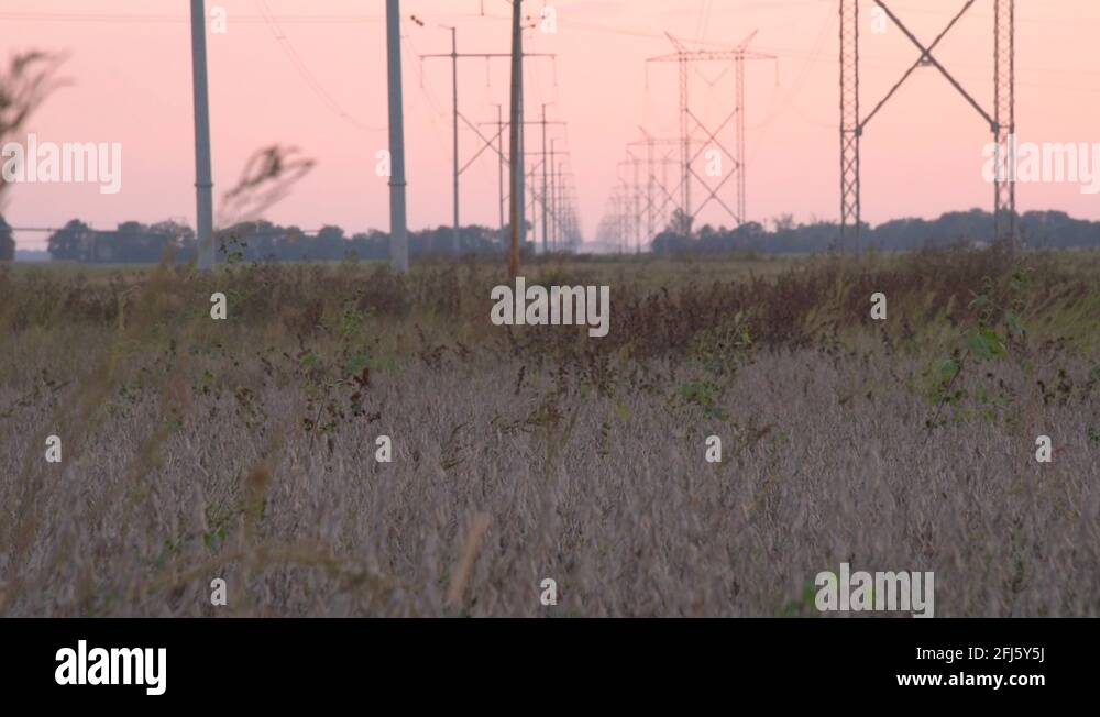 Power lines in the sunset Stock Videos & Footage - HD and 4K Video ...
