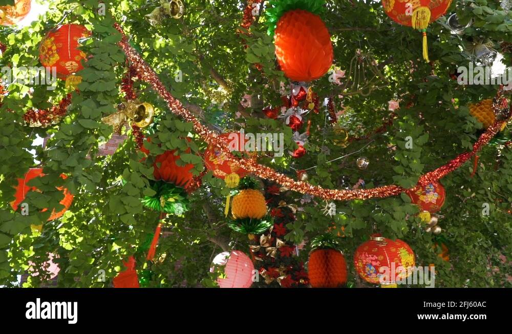 Chinese new year tree Stock Videos & Footage - HD and 4K Video Clips ...