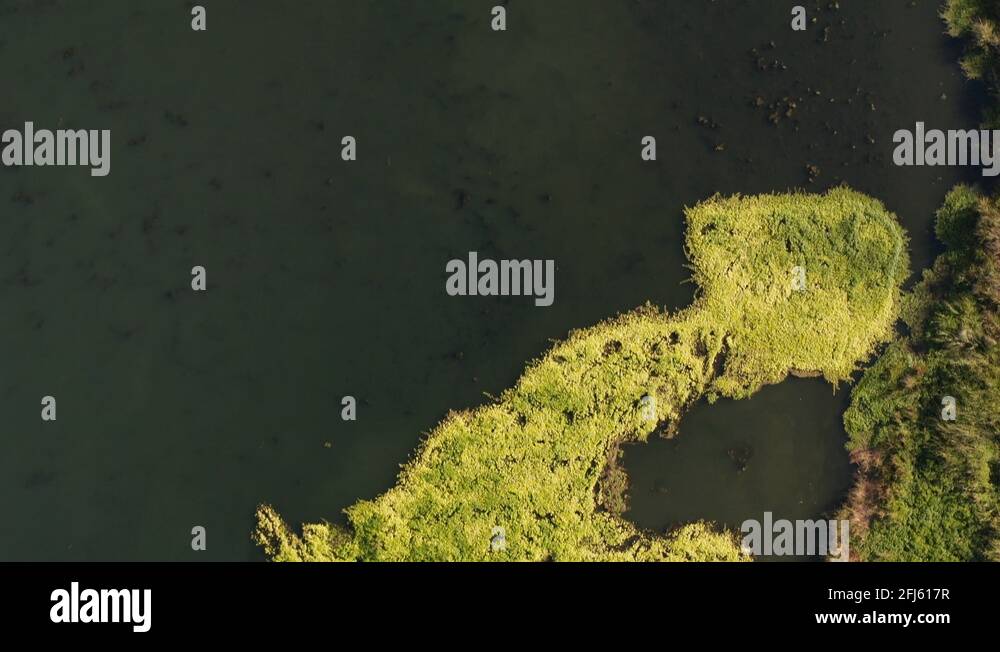 Detla water Stock Videos & Footage - HD and 4K Video Clips - Alamy