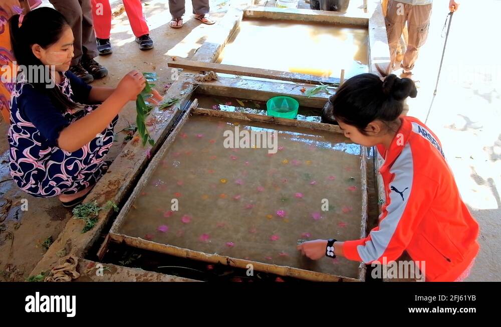 Natural Shan paper production, Pindaya, Myanmar Stock Video Footage - Alamy