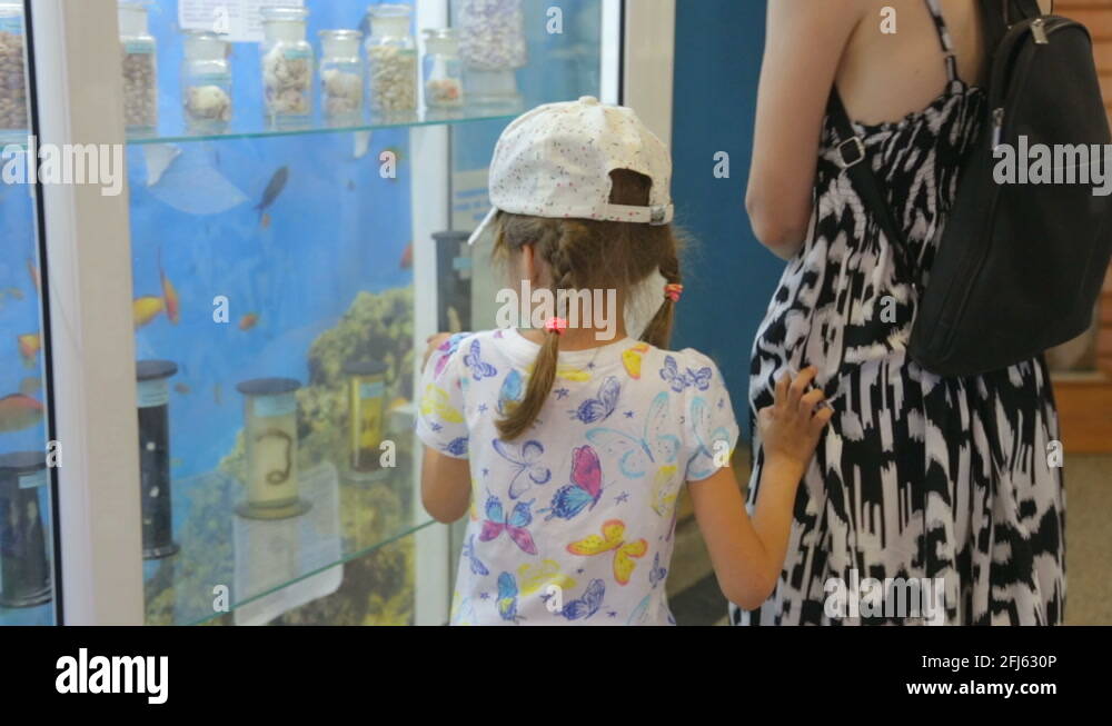 Little girl in museum Stock Videos & Footage - HD and 4K Video Clips ...