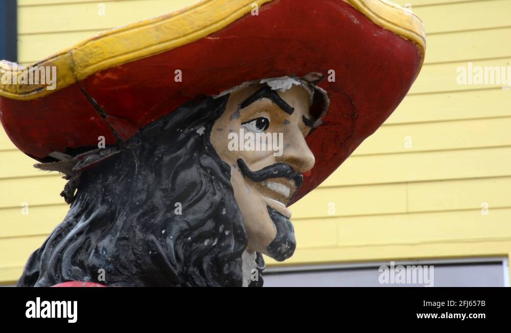 Pirate statue Stock Videos & Footage - HD and 4K Video Clips - Alamy