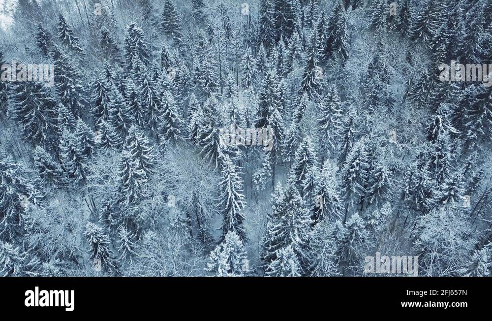 Siberia siberia Stock Videos & Footage - HD and 4K Video Clips - Alamy