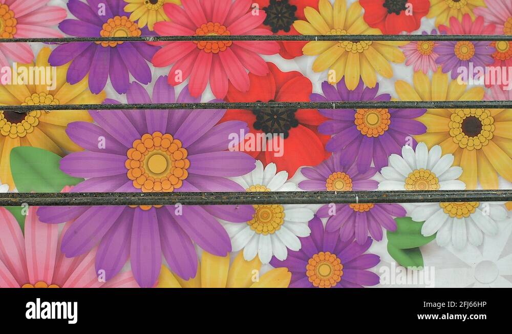 Art walking flowers Stock Videos & Footage - HD and 4K Video Clips - Alamy