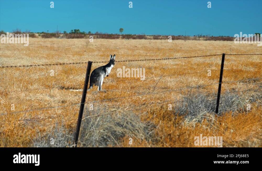 Outback aussie scenery Stock Videos & Footage - HD and 4K Video Clips ...