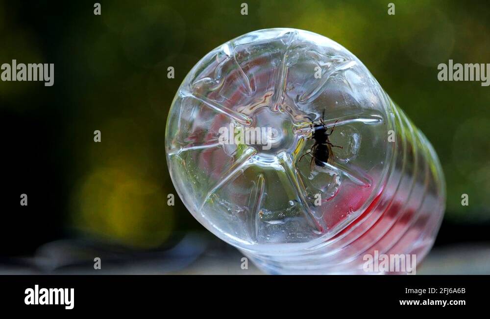 Trapped pollution Stock Videos & Footage - HD and 4K Video Clips - Alamy