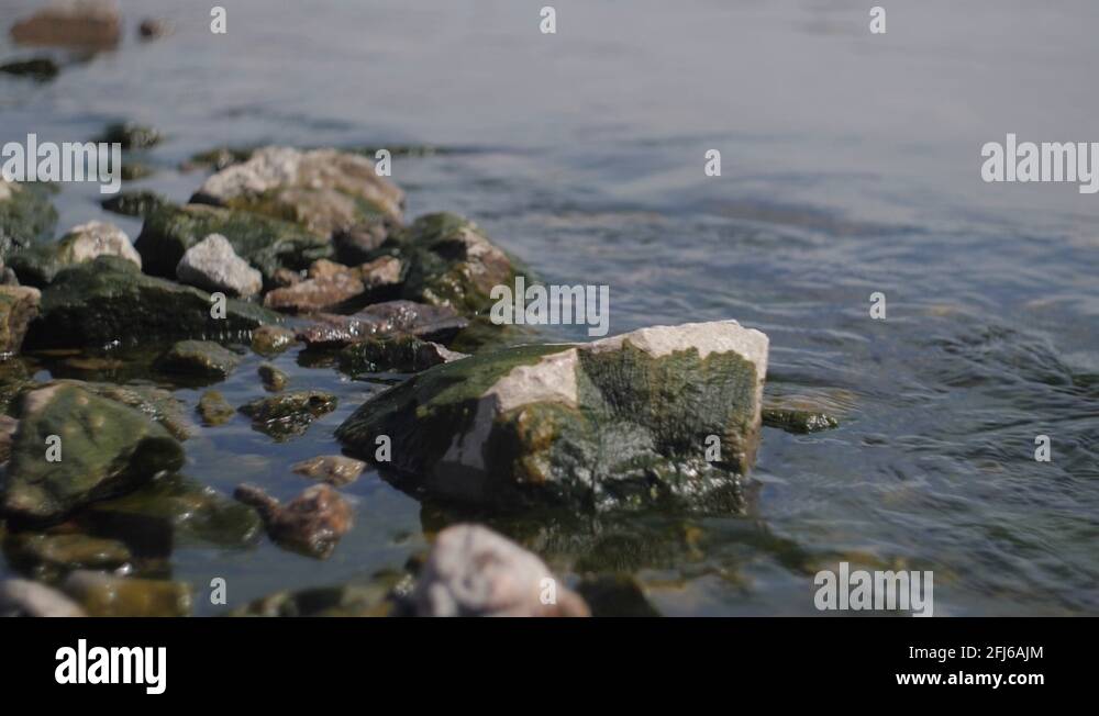 Rocks in a sea water in a blurry background and slow motion with ...
