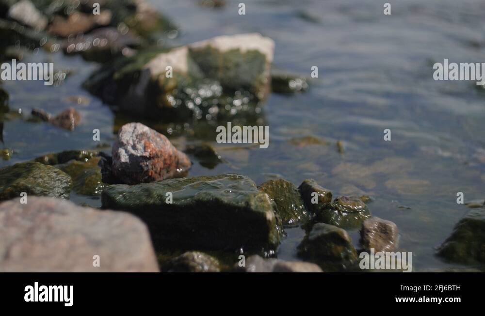 Rocks in a sea water in a blurry background and slow motion with ...