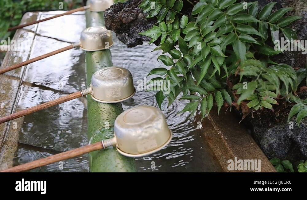 Religious purification Stock Videos & Footage - HD and 4K Video Clips ...