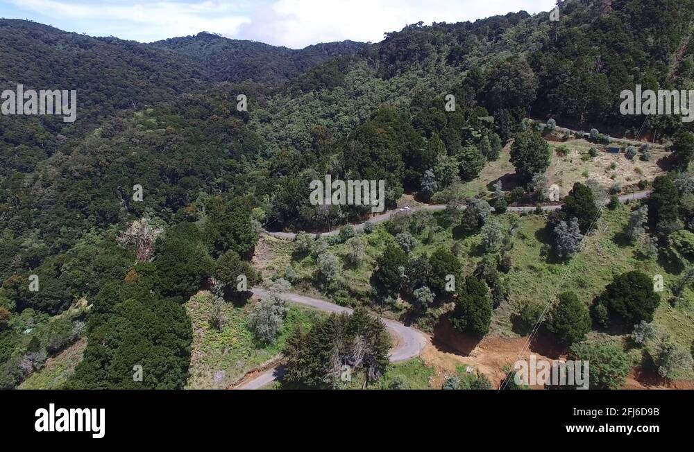 Car side elevation Stock Videos & Footage - HD and 4K Video Clips - Alamy