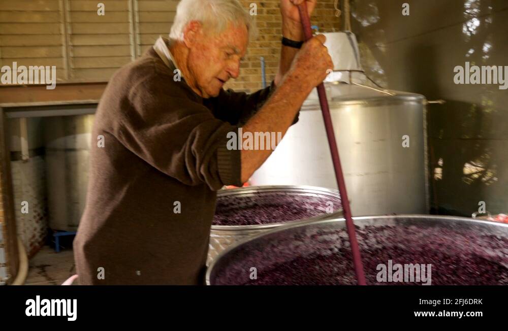 Fermenting grapes vineyard Stock Videos & Footage - HD and 4K Video ...