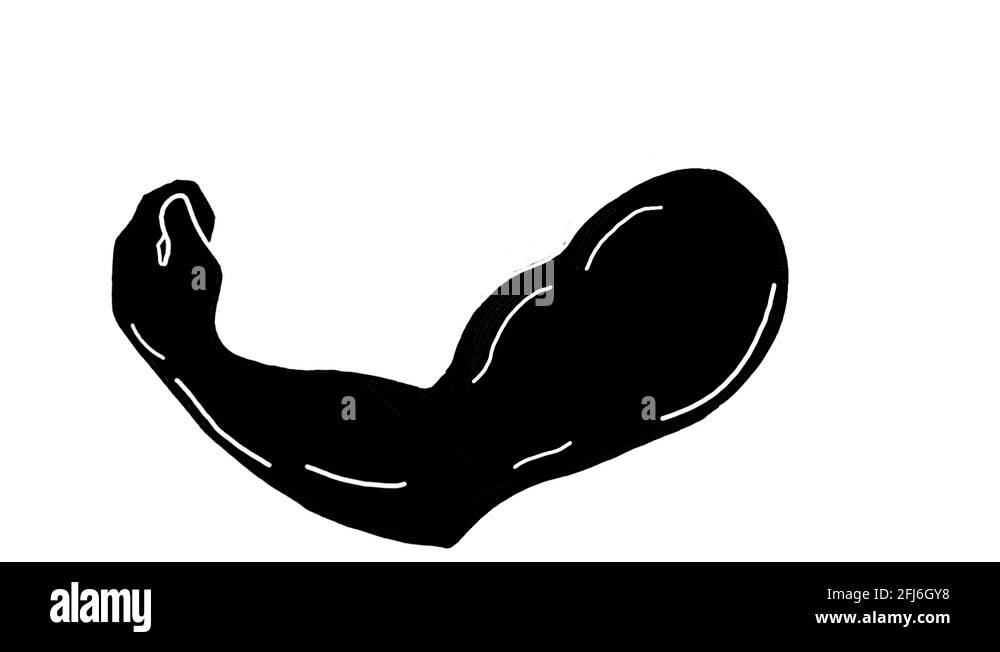 Muscular Arm Flexing Muscle Drawing 2D Animation Stock Video Footage ...