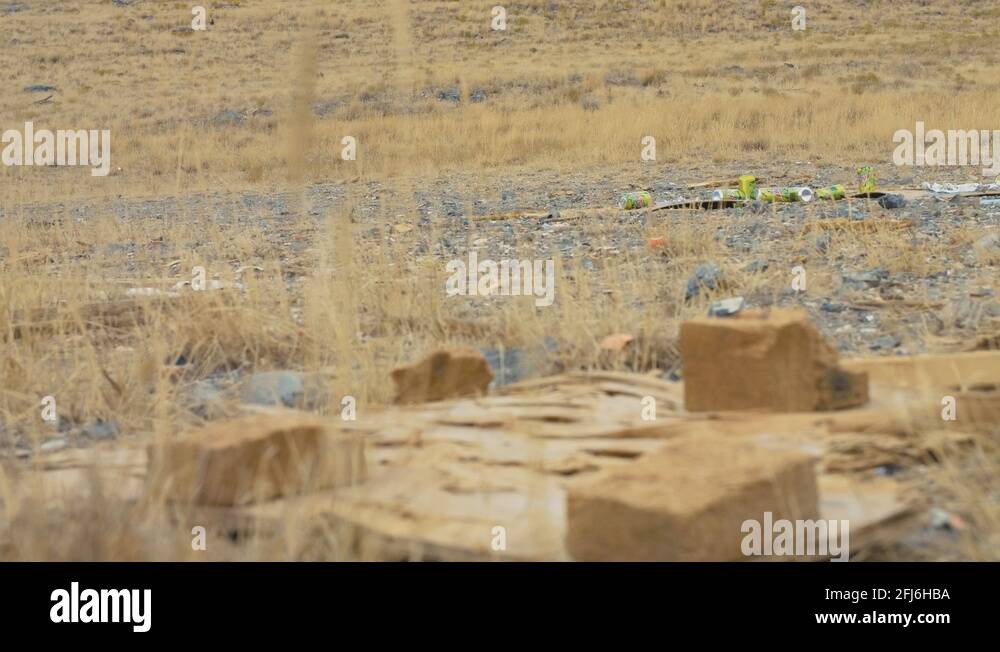 Waste ground weeds Stock Videos & Footage - HD and 4K Video Clips - Alamy