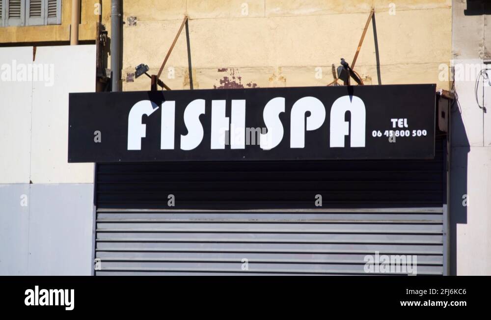 Fish shop sign Stock Videos & Footage - HD and 4K Video Clips - Alamy