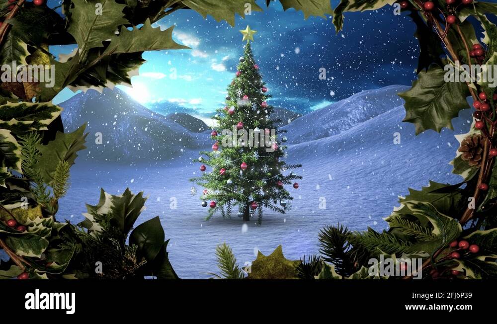 Holly branch border Stock Videos & Footage - HD and 4K Video Clips - Alamy