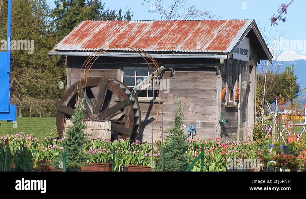 Small shed for a watermill - static shot as wheel rotates. 7secs Stock ...