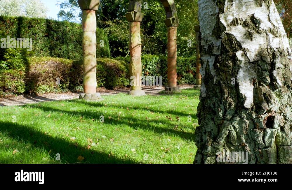 Woman trees shadow Stock Videos & Footage - HD and 4K Video Clips - Alamy