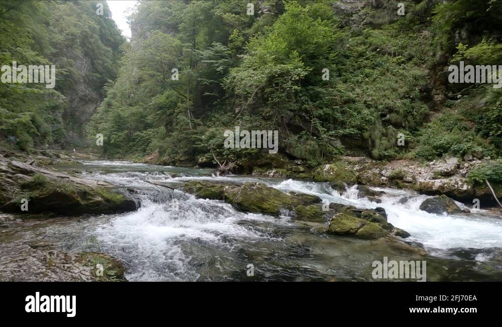 Pristine water flowing river stream in a small gorge / valley with ...