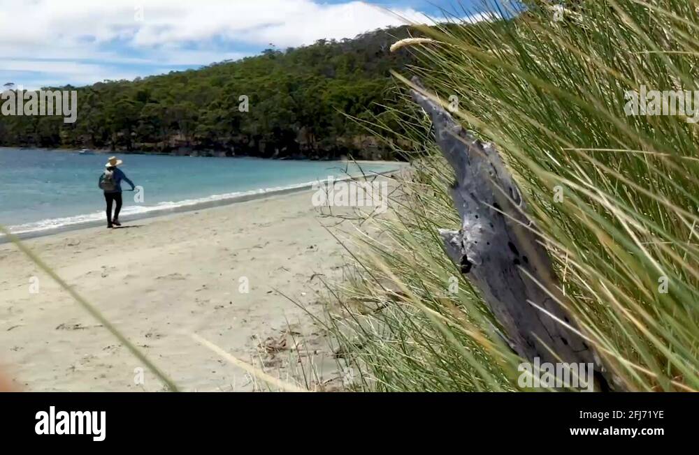 Bruney island surf Stock Videos & Footage - HD and 4K Video Clips - Alamy