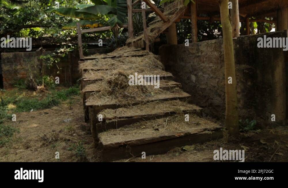 Hay store in the farm Stock Videos & Footage - HD and 4K Video Clips ...