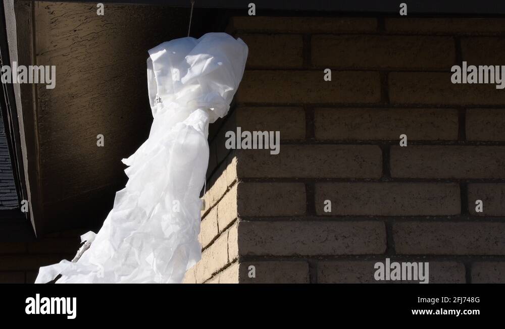 Macabre fun Stock Videos & Footage - HD and 4K Video Clips - Alamy