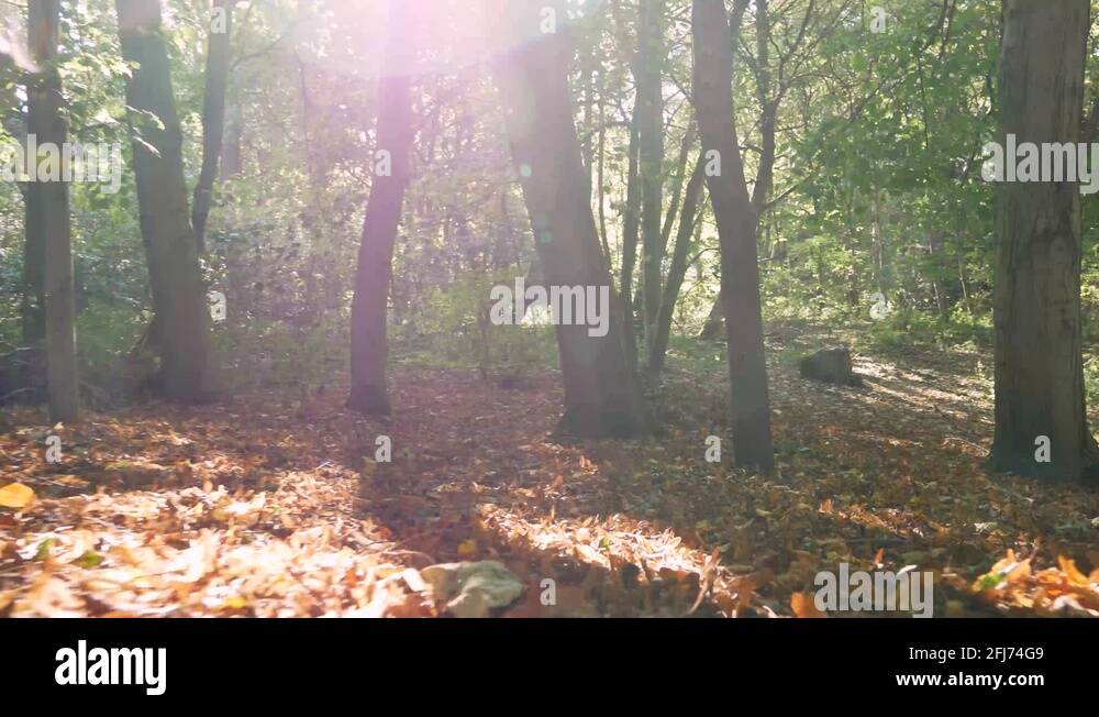 Grounding outside Stock Videos & Footage - HD and 4K Video Clips - Alamy