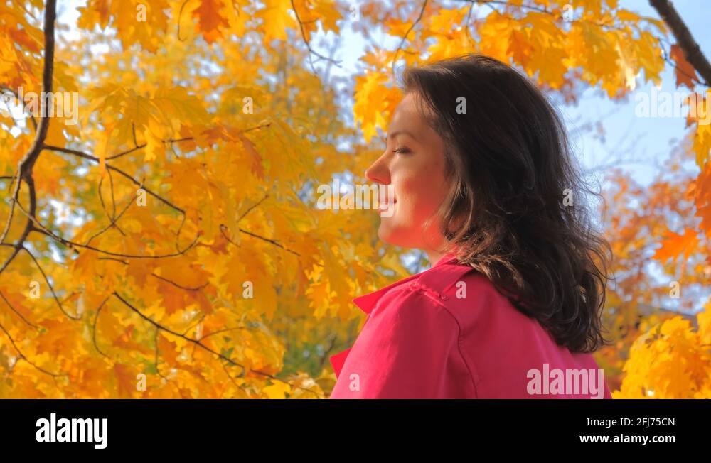 Golden bouquet tree Stock Videos & Footage - HD and 4K Video Clips - Alamy