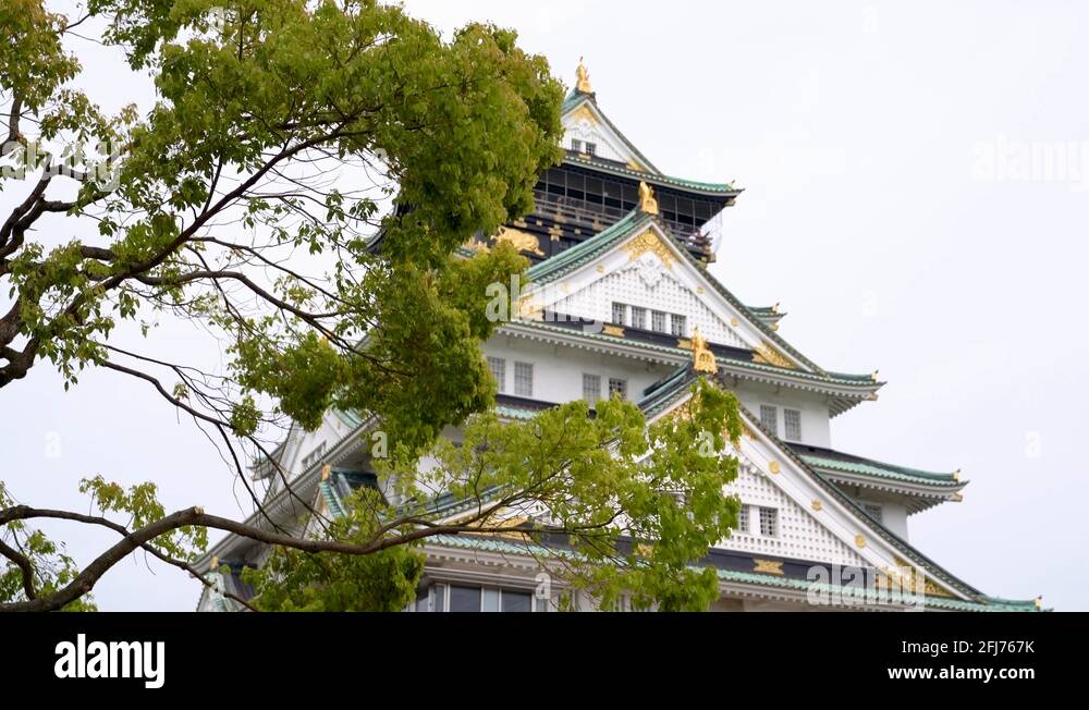 Castle setting Stock Videos & Footage - HD and 4K Video Clips - Alamy