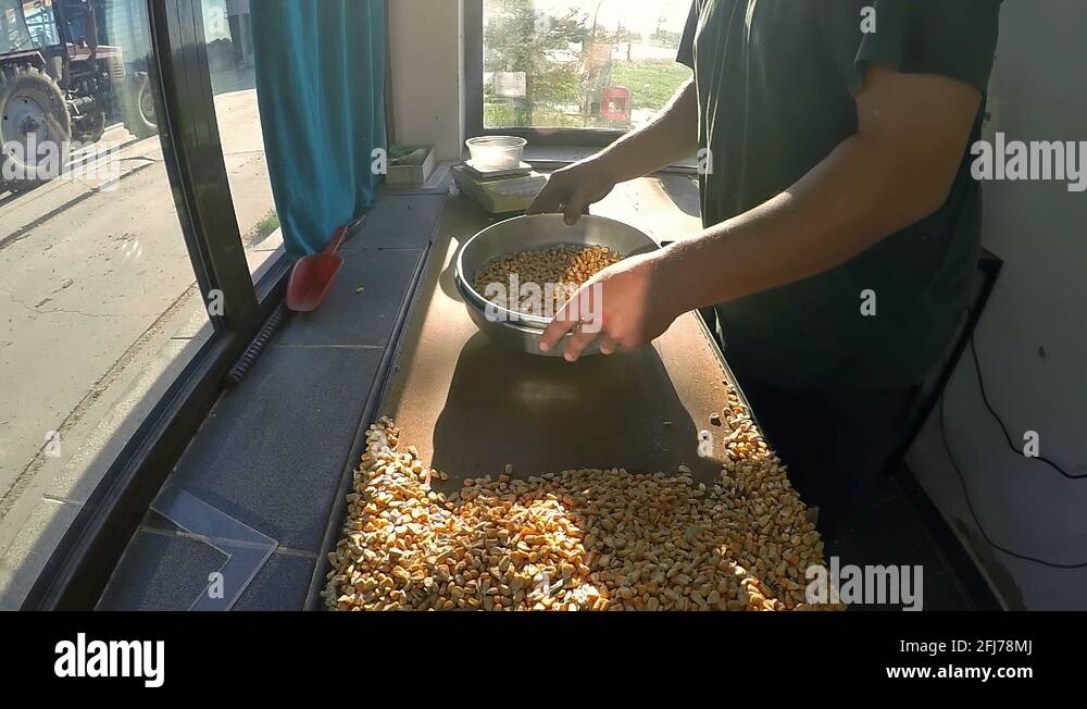 Sieve samples Stock Videos & Footage - HD and 4K Video Clips - Alamy