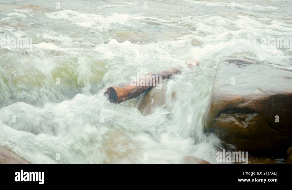 Floating wood stick Stock Videos & Footage - HD and 4K Video Clips - Alamy