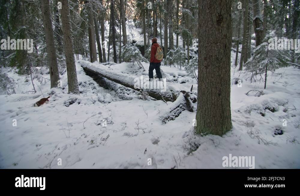 Man fallen ground Stock Videos & Footage - HD and 4K Video Clips - Alamy