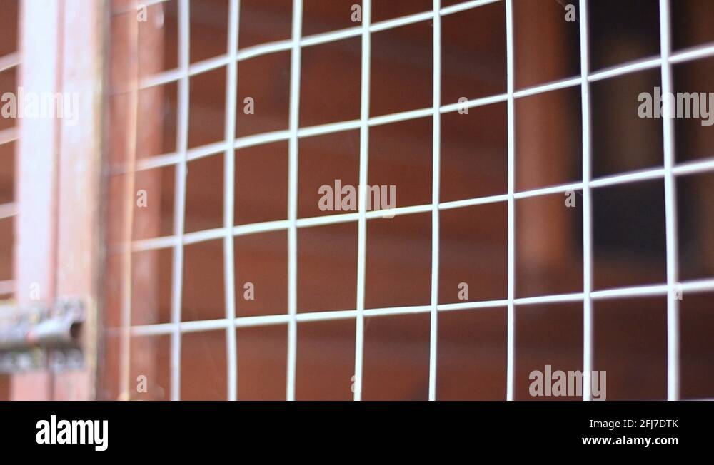 Rescue cage Stock Videos & Footage - HD and 4K Video Clips - Alamy