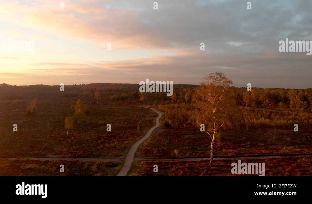 Sunset beauty moorland Stock Videos & Footage - HD and 4K Video Clips ...