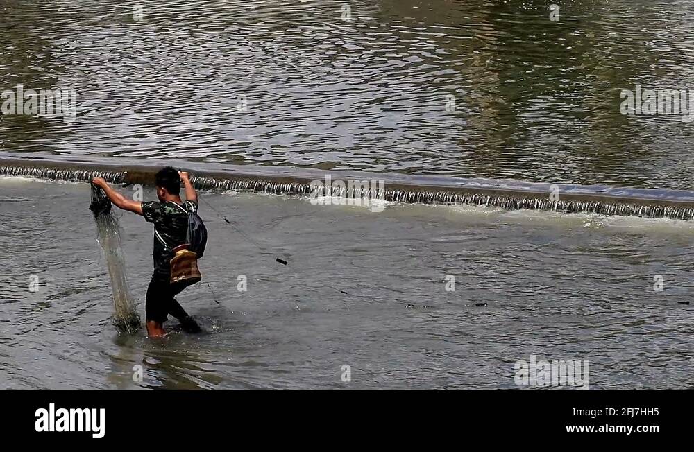 Gill nets Stock Videos & Footage - HD and 4K Video Clips - Alamy