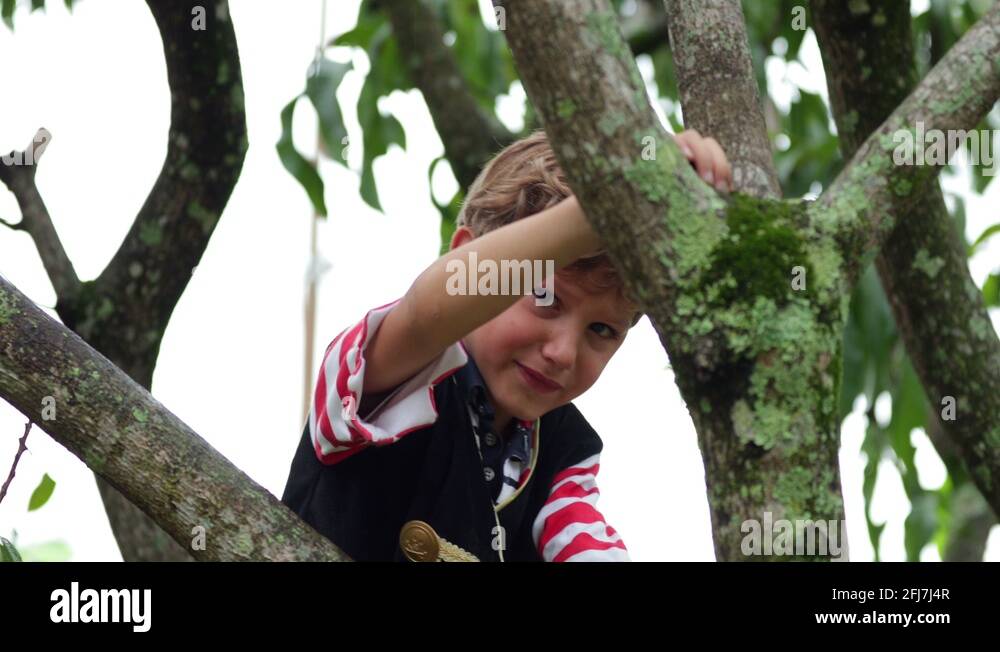 Young boy on top of a tree cries, sobs, and is tearful. Candid ...