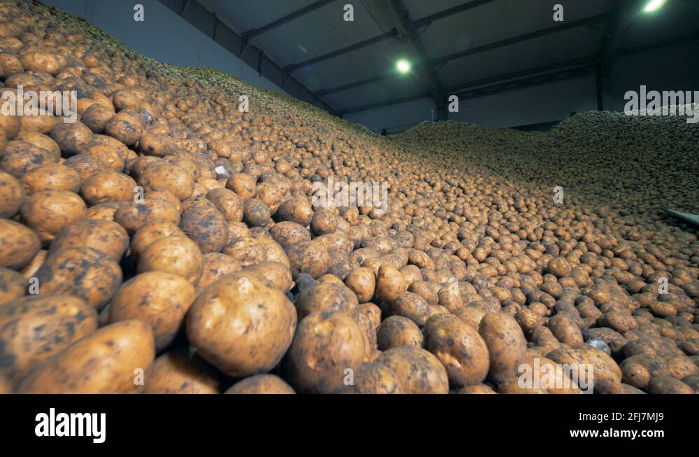 Massive room Stock Videos & Footage - HD and 4K Video Clips - Alamy