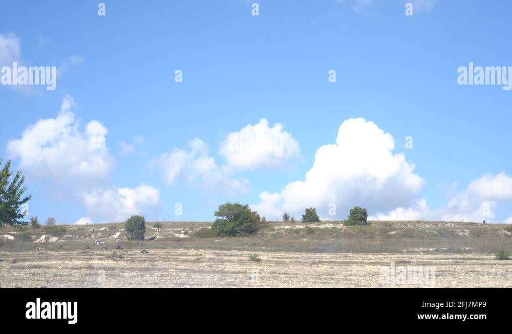 Arabic gun Stock Videos & Footage - HD and 4K Video Clips - Alamy