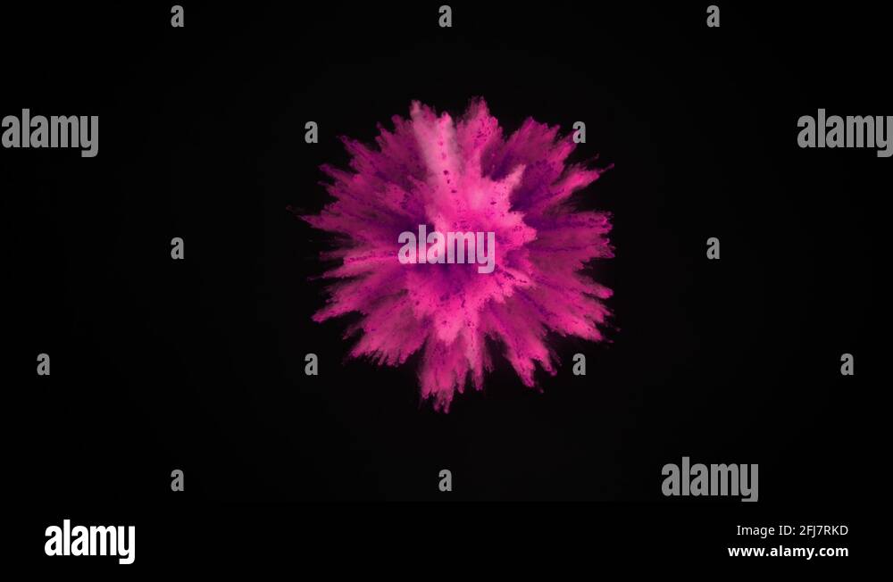 Ultra slowmotion shot of magneta powder explosion isolated on black ...