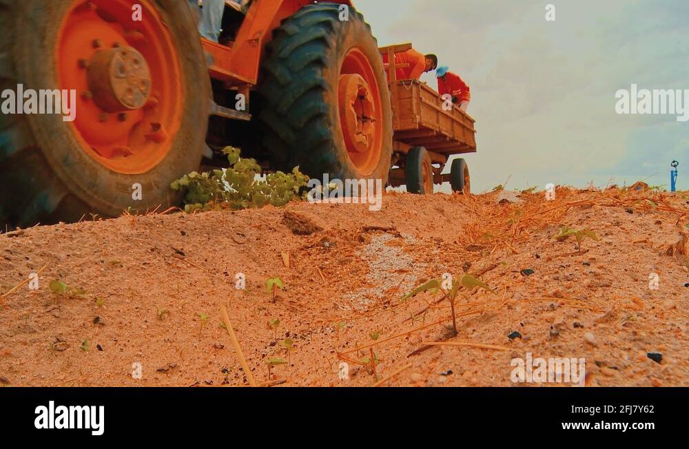 Toss off Stock Videos & Footage - HD and 4K Video Clips - Alamy