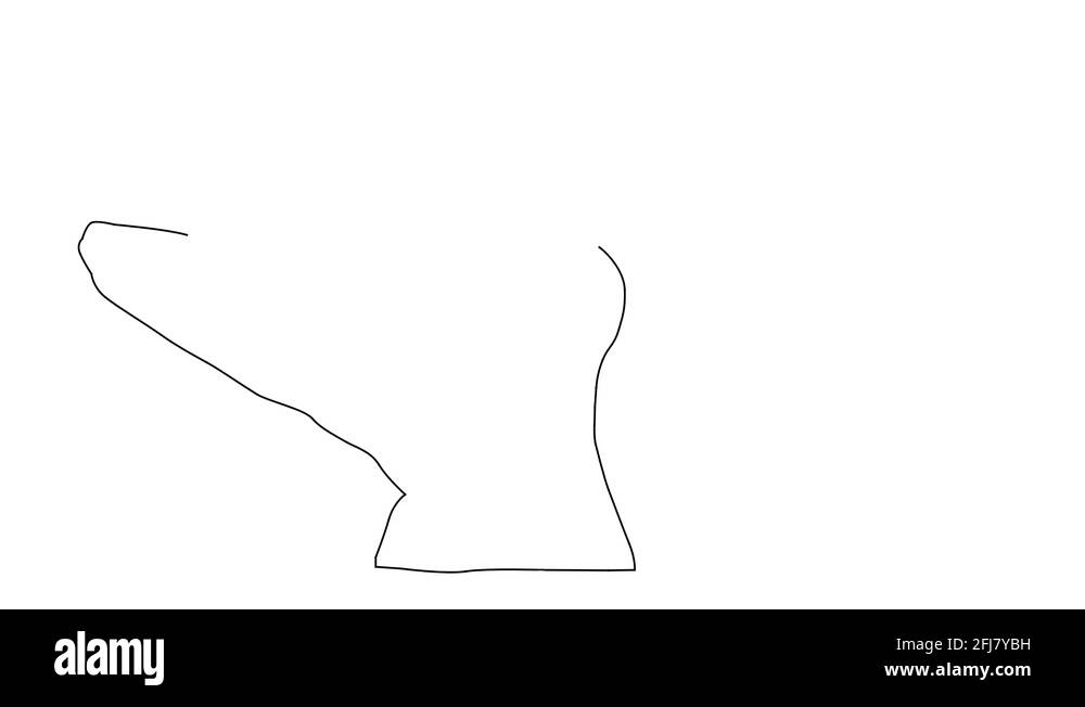 Animated drawing of scoliosis Stock Video Footage - Alamy